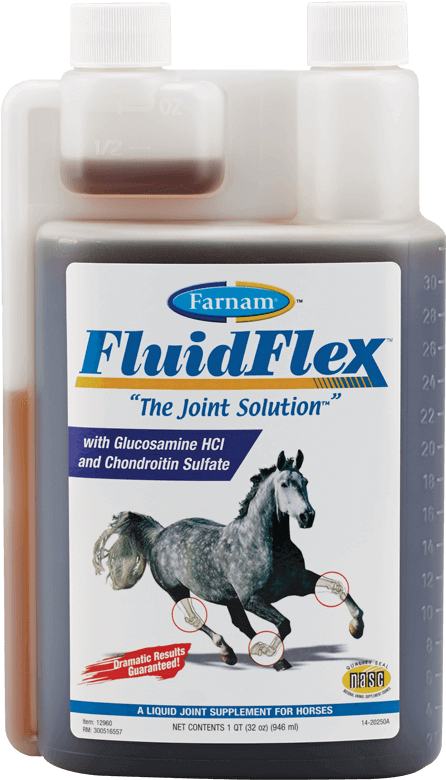 Download 32 Oz - Fluid Flex PNG Image with No Background - PNGkey.com