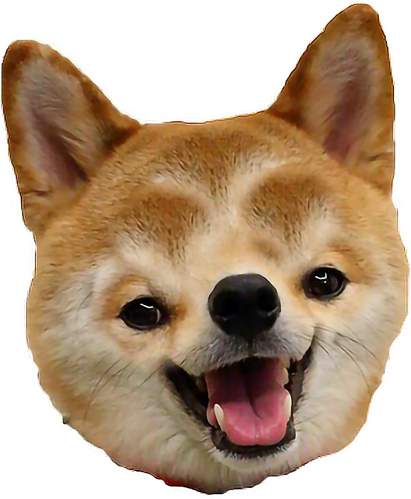 Download Doggo Transparent - Transparent Background Doggo Png PNG Image ...