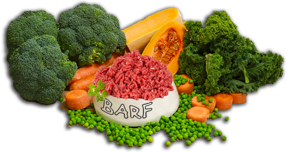 Download 100% Raw Natural Diet For Your 'best Friend' - Barf Food PNG ...