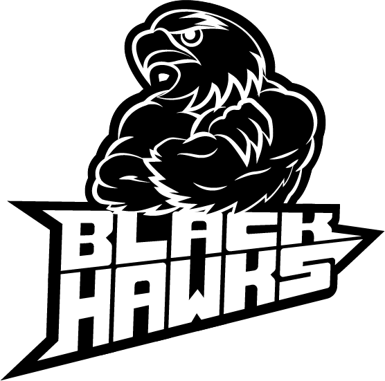 Blackhawks Logo600x600 - Chicago Blackhawks - Free Transparent PNG ...