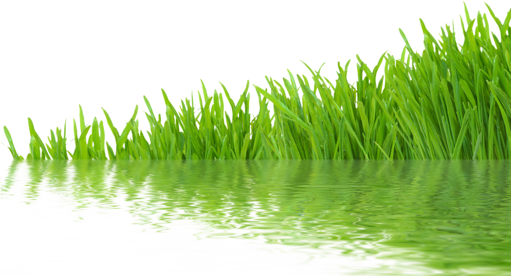 Download Next - Water PNG Image with No Background - PNGkey.com