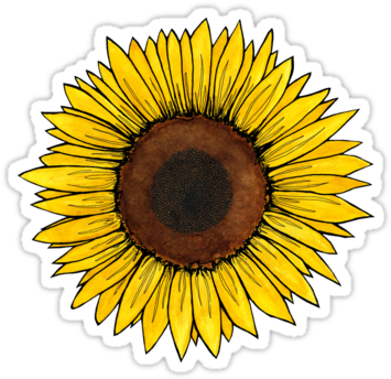 Download If You Would Like A Specific Color For The Background ...