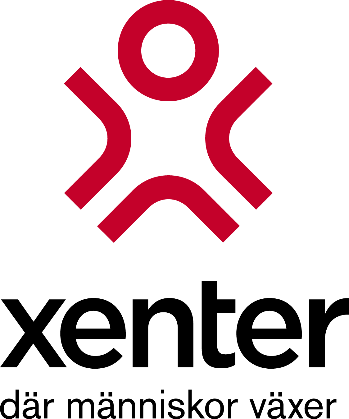 Download Why I Studied At Xenter Botkyrka A Industry In Need - Keiter ...