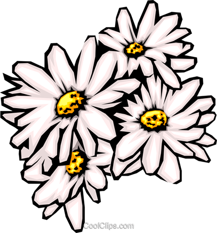 Free Clipart Pic Of Daisies