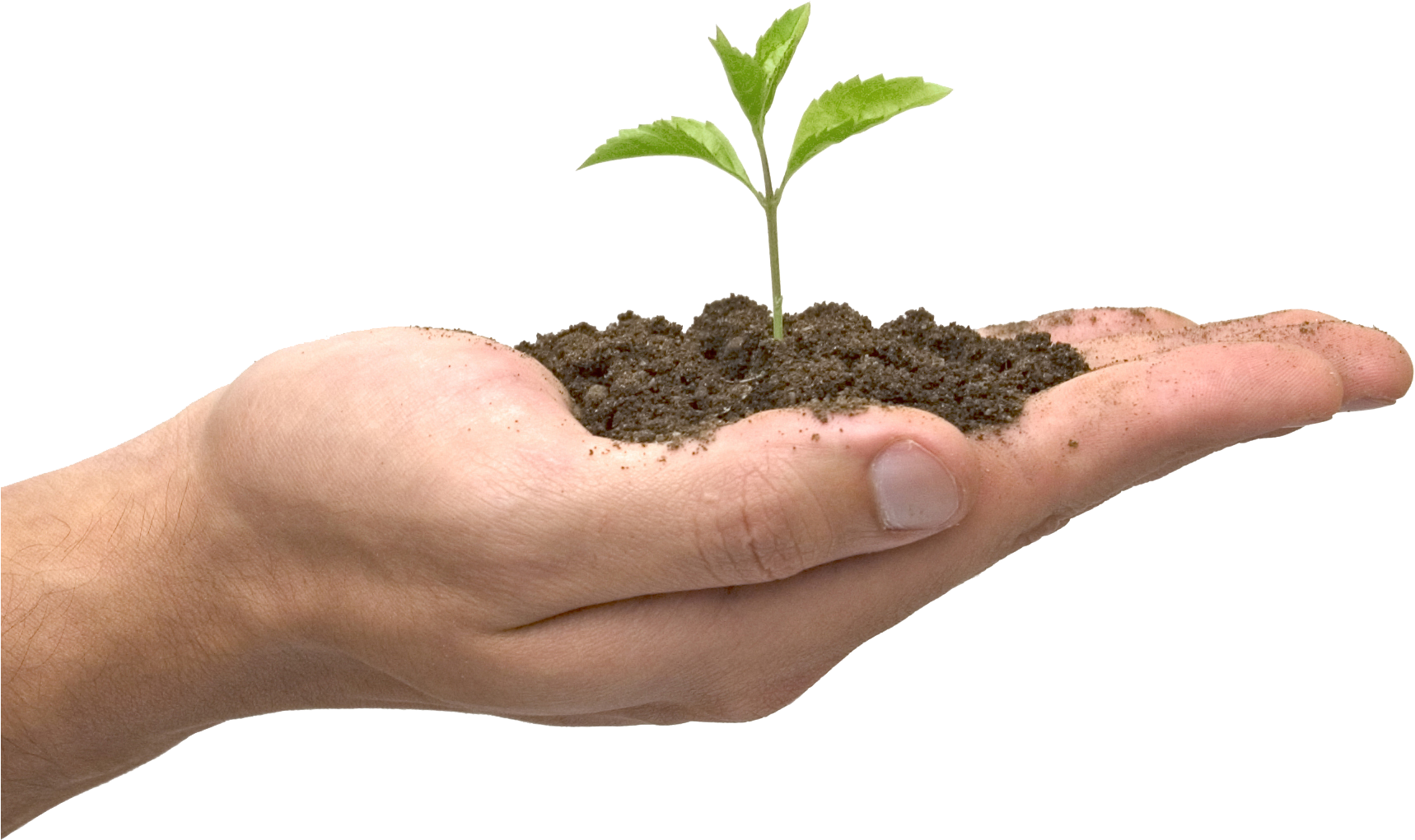 Download Soil In Hand Png - Seed Growing In Hand PNG Image with No ...