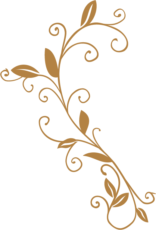 Download Decorative Scroll Png Download - Port Angeles PNG Image with ...