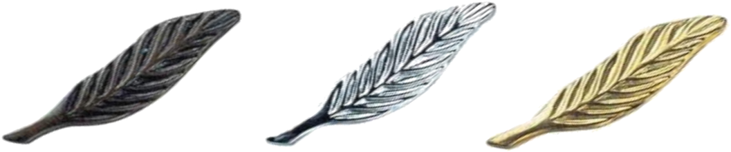 Eagle Palms - Boy Scout Palm - Free Transparent PNG Download - PNGkey