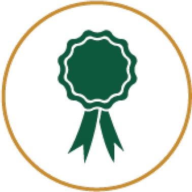 Download Icon Of Merit Badge - Icon PNG Image with No Background ...
