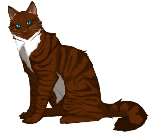 Download Wolfpaw Discusses Some Good Cats In Warriors - Коршун Коты ...