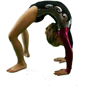 Gymnastics Png - Gymnastics Bridge - Free Transparent PNG Download - PNGkey
