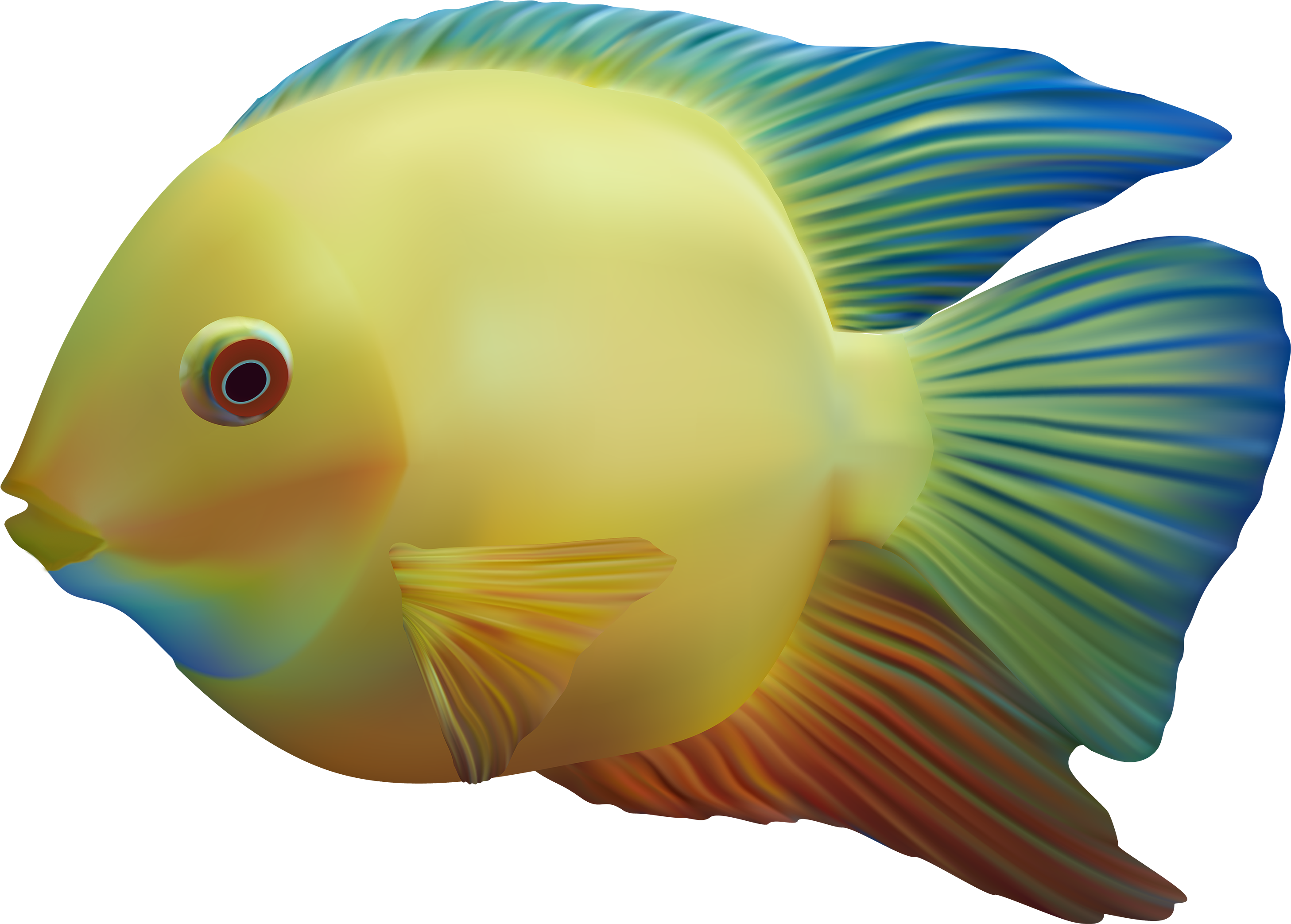 Download Exotic Fish Png Clipart - Transparent Background Fish Png PNG ...