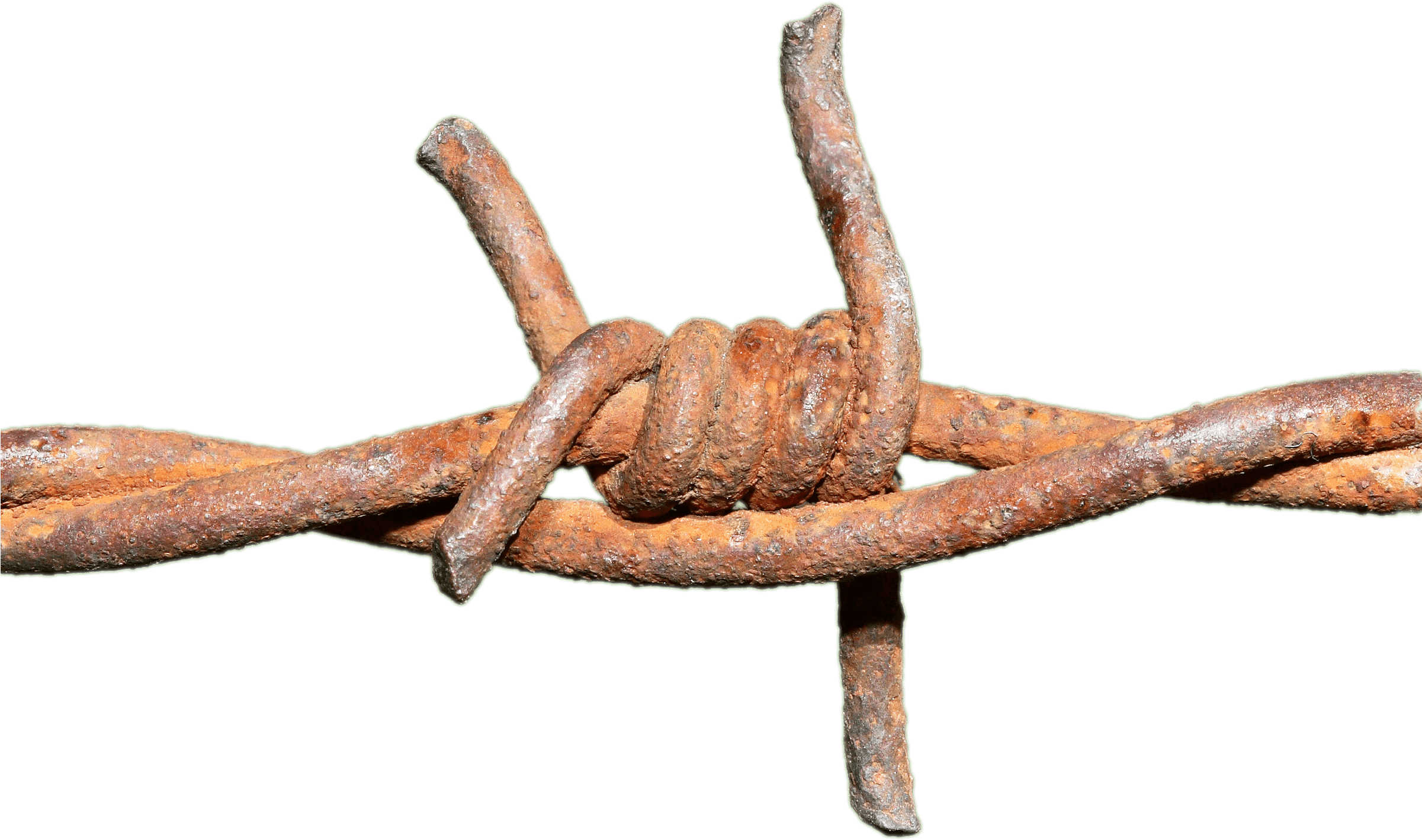 Download Barbed Wire Rusted Knot - Barbed Wire Transparent Png PNG ...
