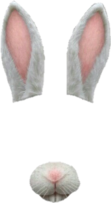 Download Png Snapchat Filters - Bunny Ears Transparent Png PNG Image ...