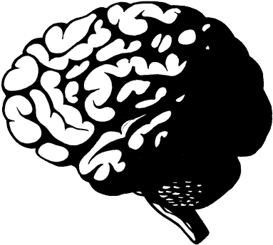 Download Brain - Mind PNG Image with No Background - PNGkey.com