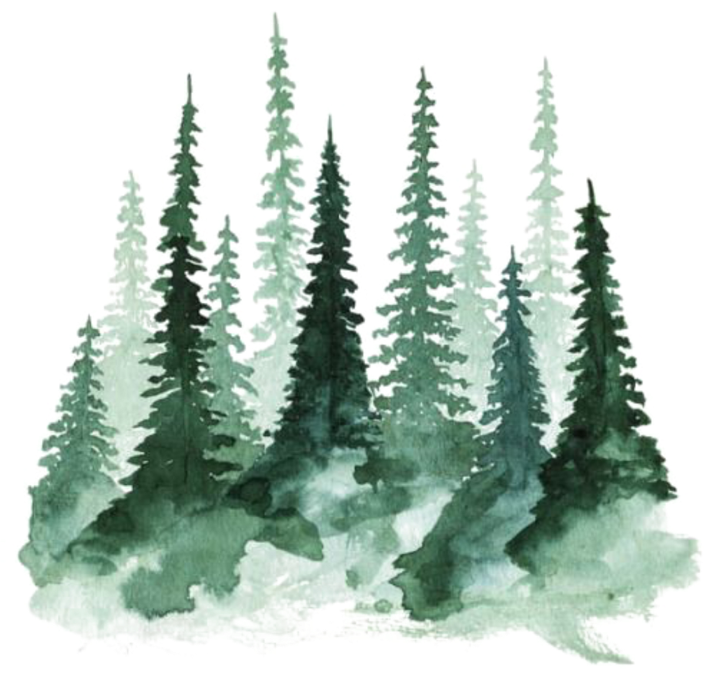 Download Ftestickers Watercolor Trees Pinetrees Forest - Watercolor ...