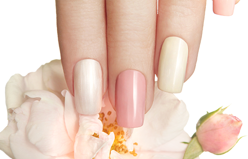 Nails1b - Nails Png - Free Transparent PNG Download - PNGkey