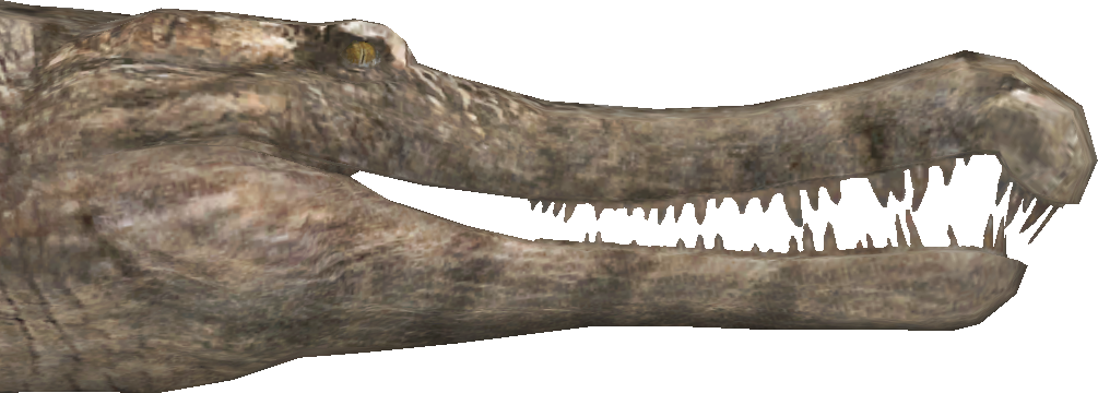 Sarcosuchus Teeth - Free Transparent PNG Download - PNGkey
