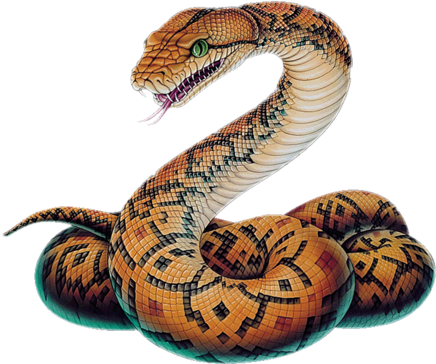 Download Snake Clipart Boa Constrictor PNG Image with No Background ...