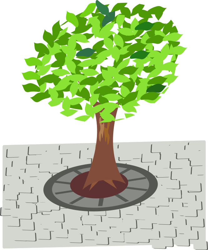 Download Medium Image - Tree Street Png PNG Image with No Background ...