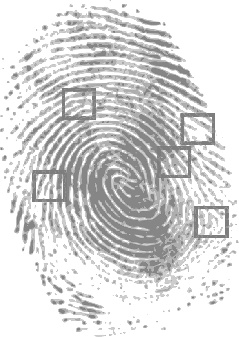 Download Mb Image/png - Dna Fingerprinting In Solving Crimes PNG Image ...