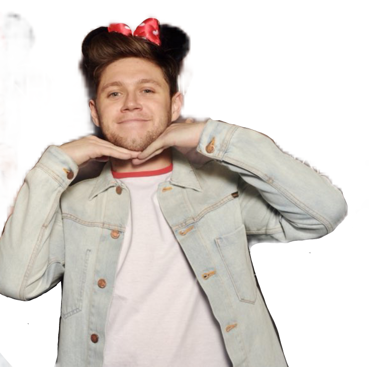 Download Niall Horan Cute PNG Image with No Background - PNGkey.com