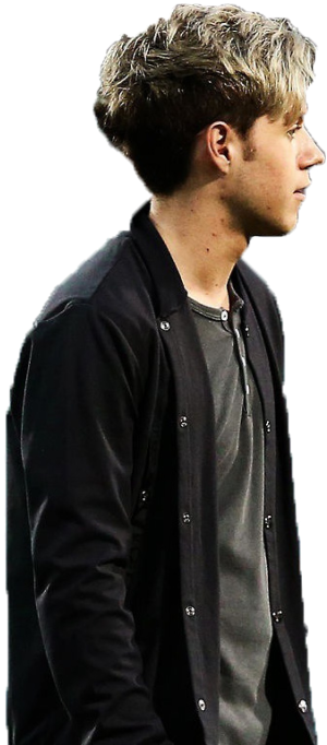 Niall Horan - Free Transparent PNG Download - PNGkey