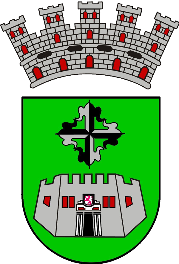 Download Escudo Guaynabo Transparente - Municipio De Guaynabo PNG Image ...