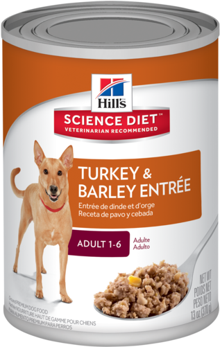 Download Sd Adult Turkey And Barley Dog Food Canned - Hill's Science ...