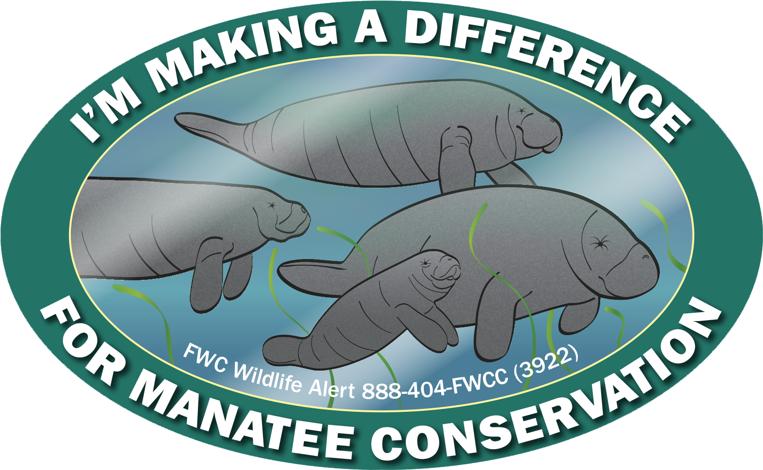 Download Scuba Dui PNG Image with No Background - PNGkey.com