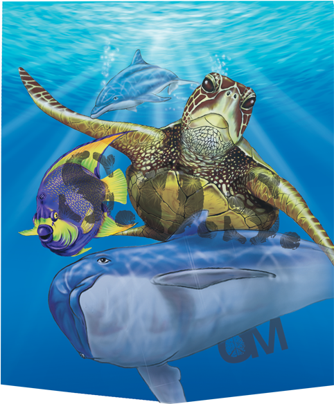Download Om022-sea Life - Green Sea Turtle PNG Image with No Background ...