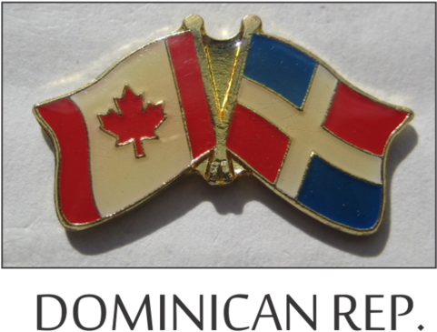 Download Friendship Flag Pins - Flag PNG Image with No Background ...