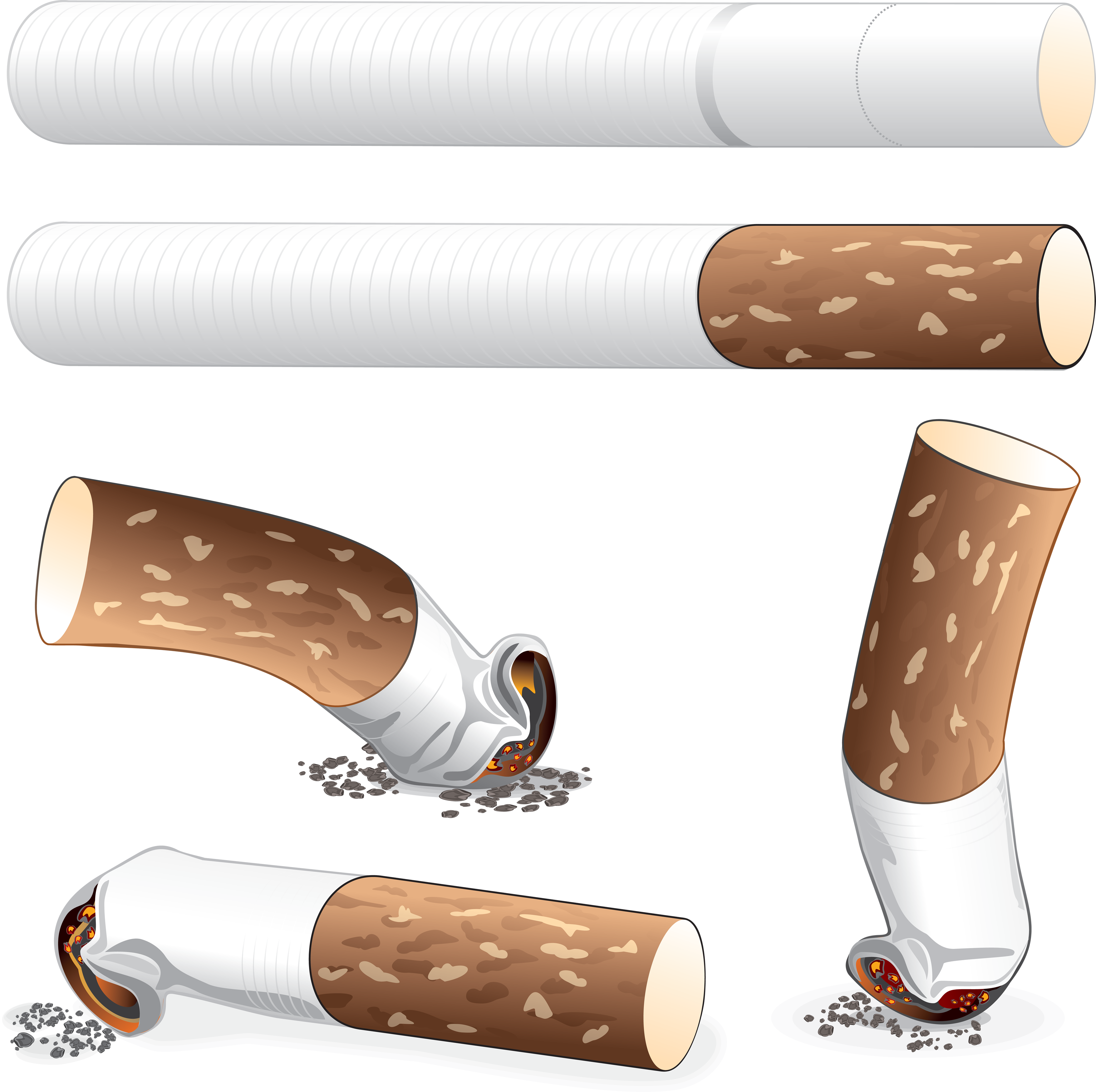 Download Cigarette Vector PNG Image with No Background - PNGkey.com