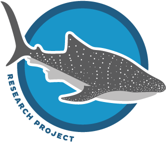 Download About The Whale Shark Research Project - Schenker Barden ...