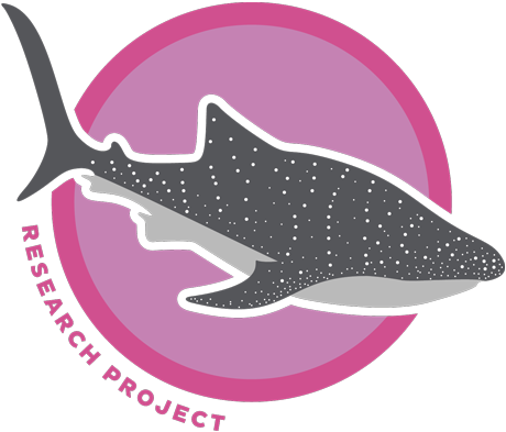 Download Shark Whale Pink PNG Image with No Background - PNGkey.com