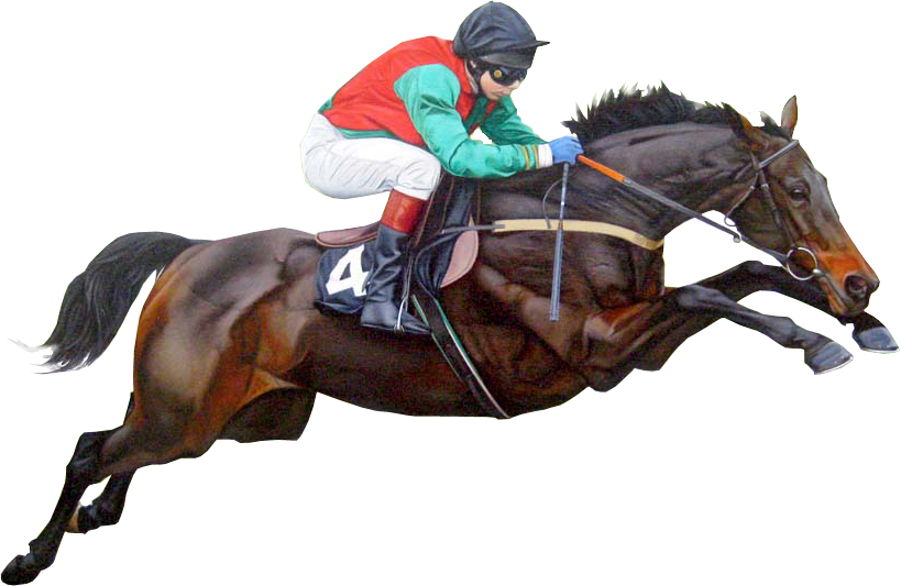 Race Horse Transparent Background - Free Transparent PNG Download - PNGkey