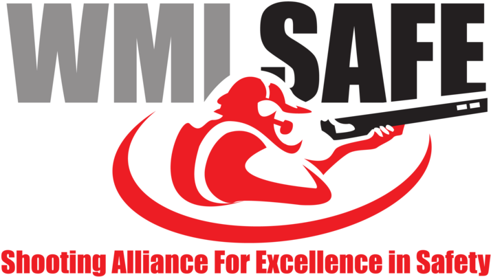 Download Wmi Safe PNG Image with No Background - PNGkey.com