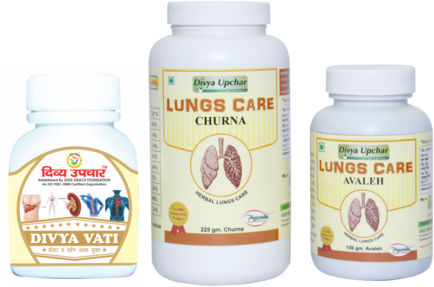 Download Divya Kit Divya Lungs Care Kit - Divya Kit In Patiala PNG ...
