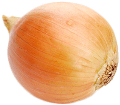 Single Onion - Transparent Transparent Background Onion - Free ...