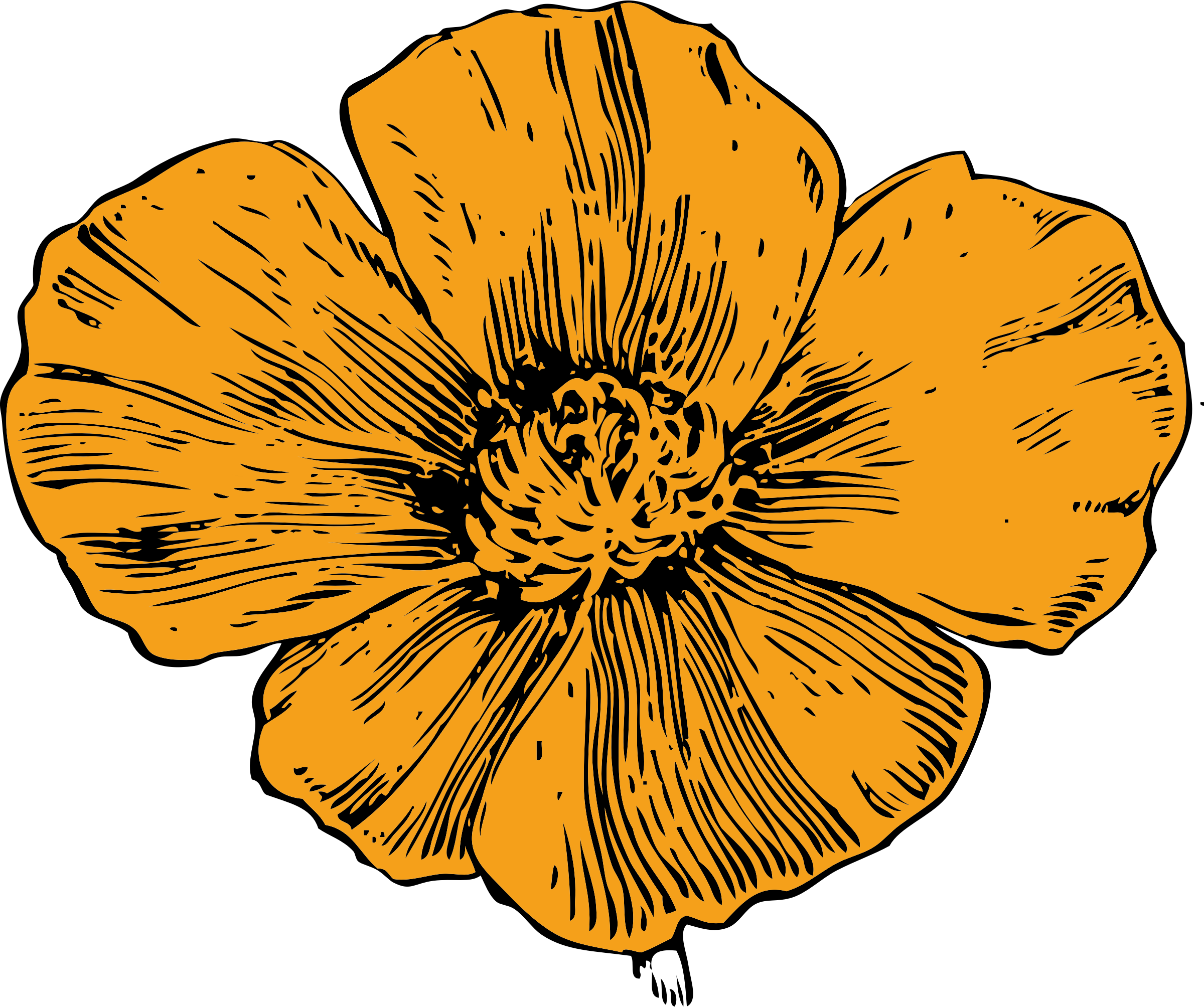 Download California Poppy Clip Art Free Vector - California Poppy Clip ...