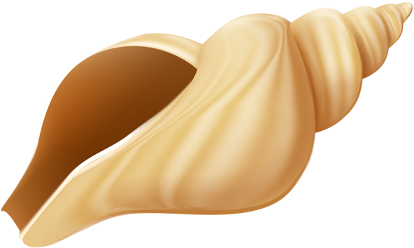 Download Image Transparent Library Images Free Download - Clipart ...