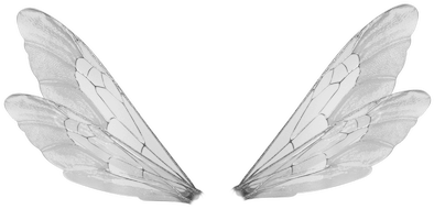 Download Silver Wings By Jinxmim Silver Wings, Deviantart, Fantasy ...