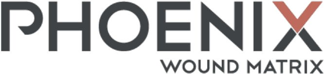 Phoenix Wound Matrix - Phoenix - Free Transparent PNG Download - PNGkey