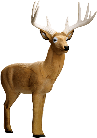 Download Booner Buck - Rinehart Targets Rinehart Booner Buck Archery ...