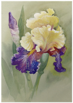 Download Abbott Collection Magic Spring Paper Napkins, Large PNG Image ...