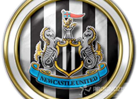 Download Newcastle Logo - Kitchen Accents Newcastle Unitedv2331 ...