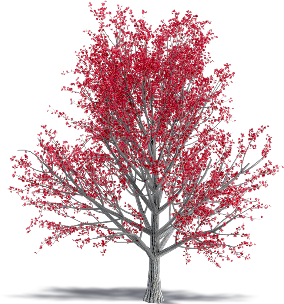 Computer-aided Design - Free Transparent PNG Download - PNGkey