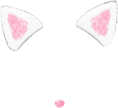 Download Library Avatan Plus - Cute Cat Filter Transparent PNG Image ...