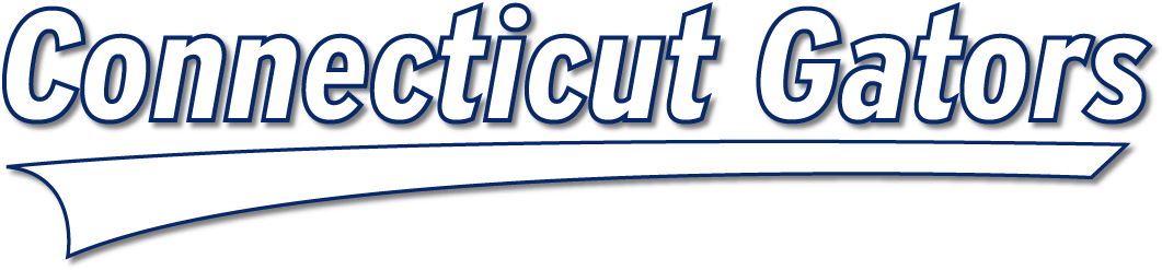 Download Inter Motors PNG Image with No Background - PNGkey.com