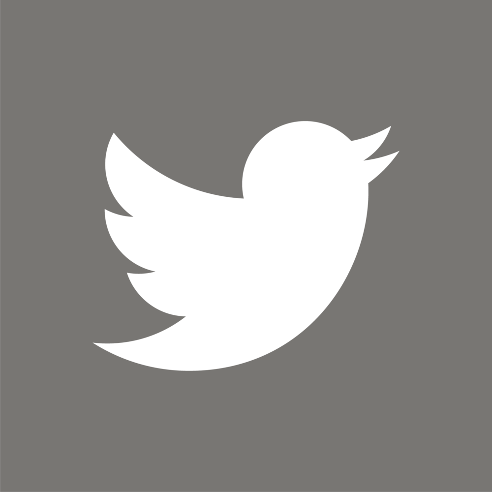 Twitter Logo Clear On Grey-05 - Twitter Logo On Grey Background - Free ...