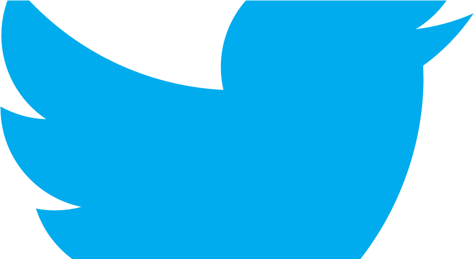 Download Twitter Bird Logo Red PNG Image with No Background - PNGkey.com